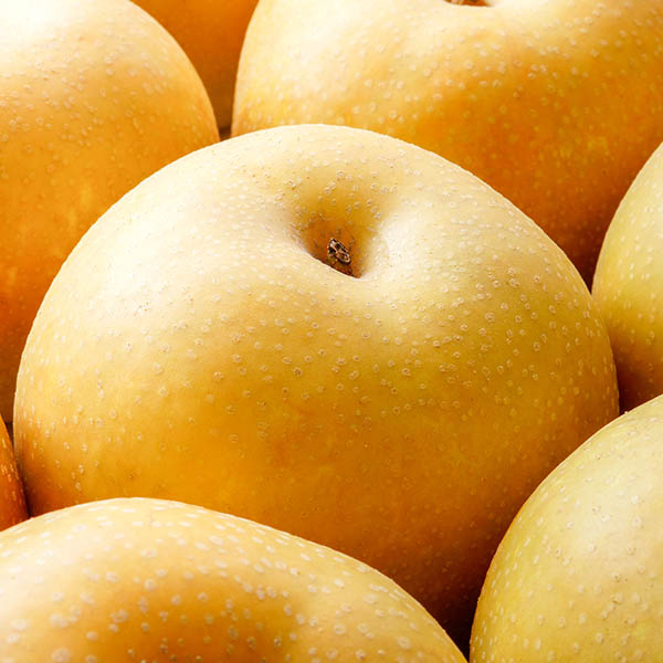 Achat Nashis Kosui - Vente de nos créations et productions Georges Delbard