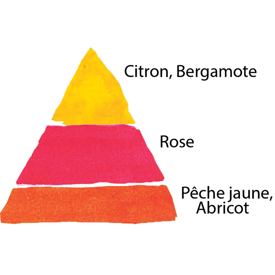 Achat Rosiers Domaine de Chantilly ® - Vente de nos créations et ...