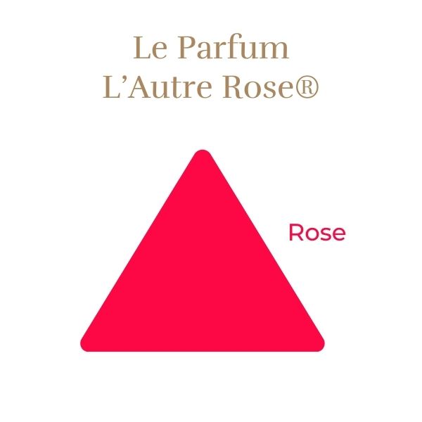 Achat Rosiers L'autre rose® - Vente de nos créations et productions ...